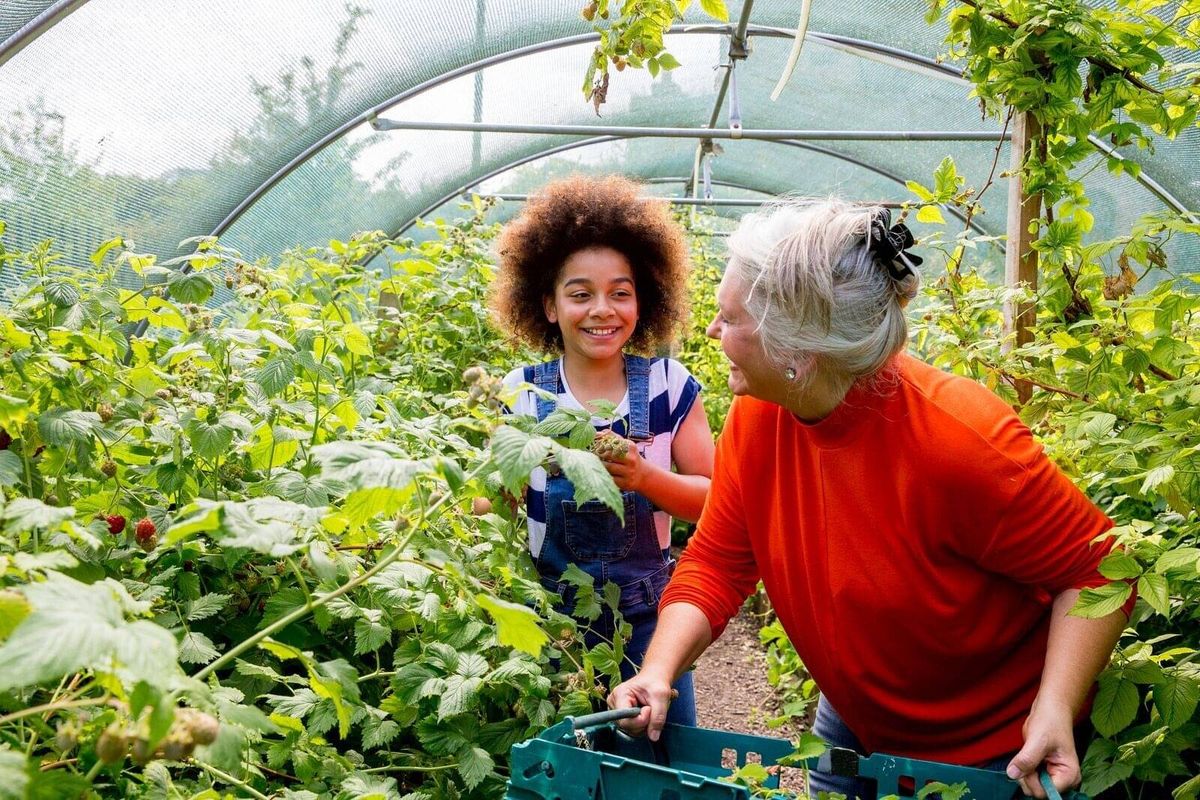 Bupa Foundation Green Community Grants