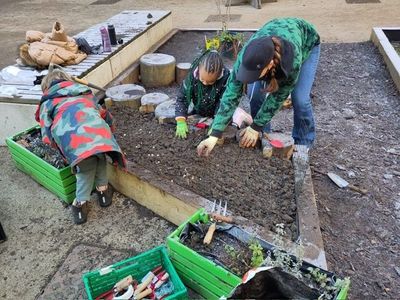 Bupa Foundation Green Community Grants