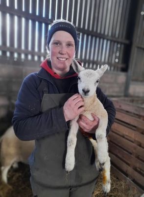 Slaley Show | Sheep Section