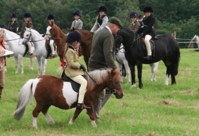 Slaley Show | SLALEY SHOW