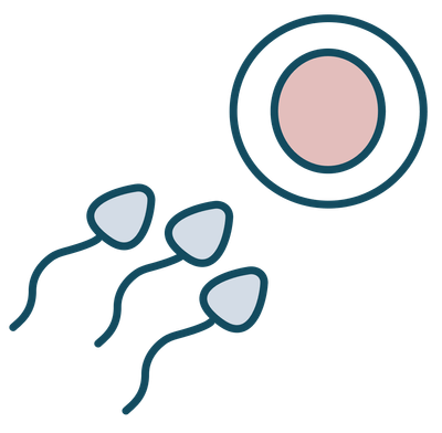 PCOS and fertility: everything you need to know | Bloomful