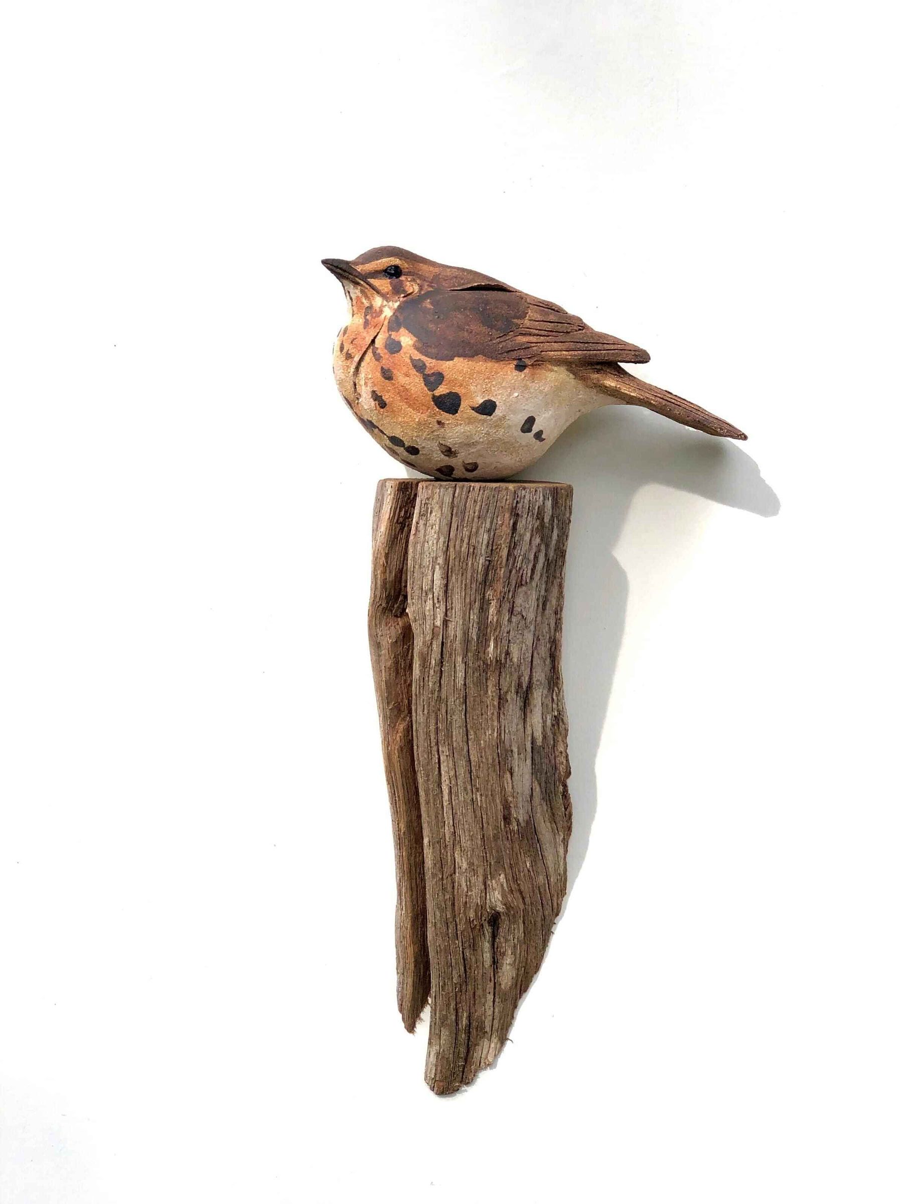 Thrush available now | Simon Griffiths Sculpture