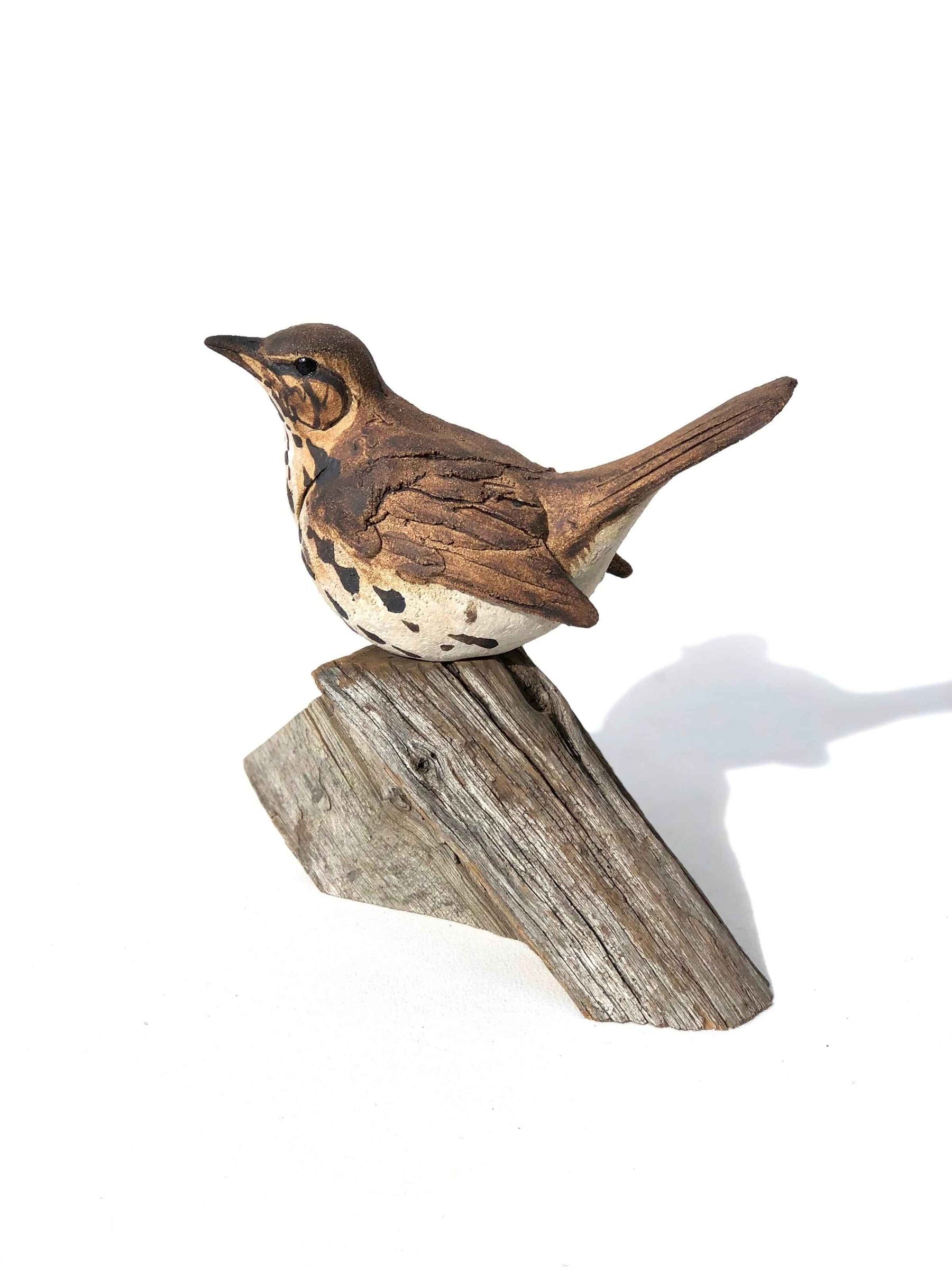 Thrush available now | Simon Griffiths Sculpture