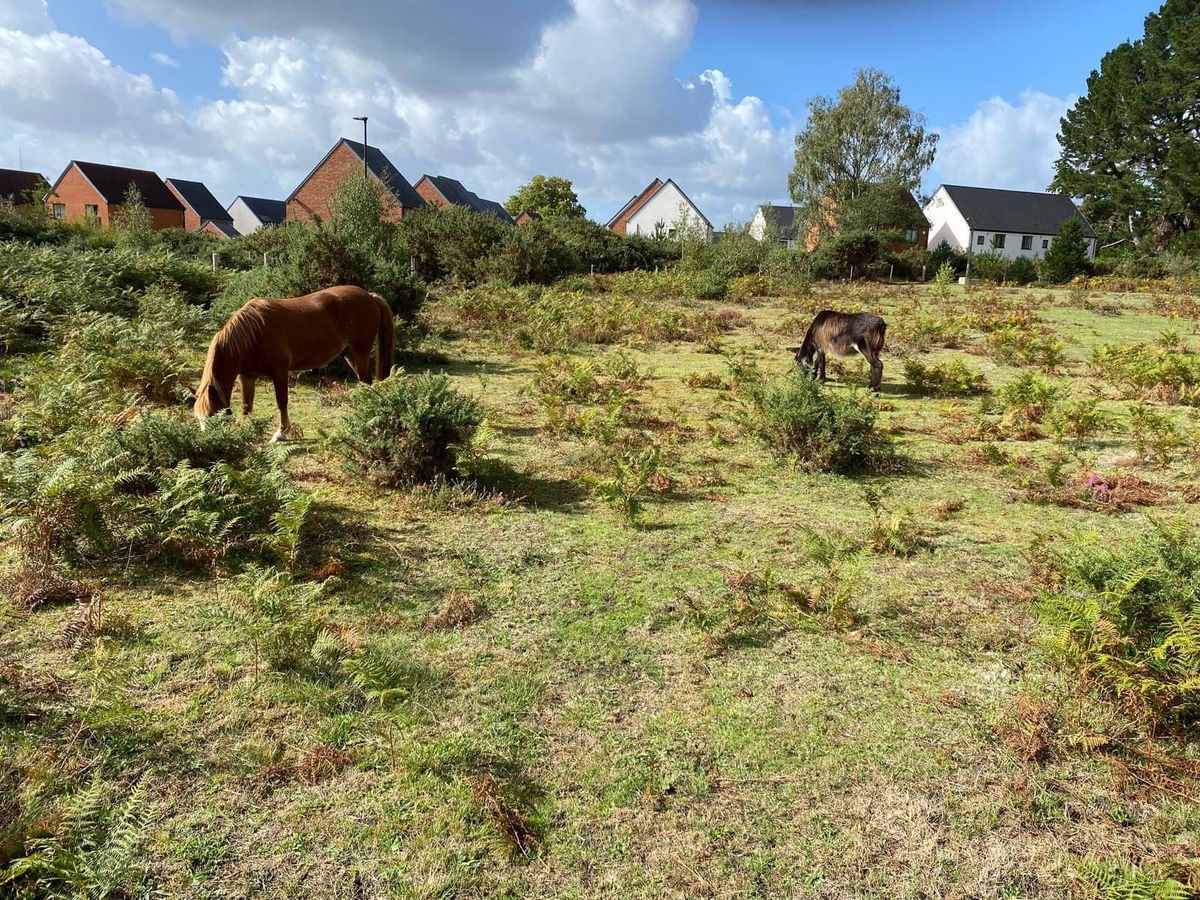Ecological contracting Devon